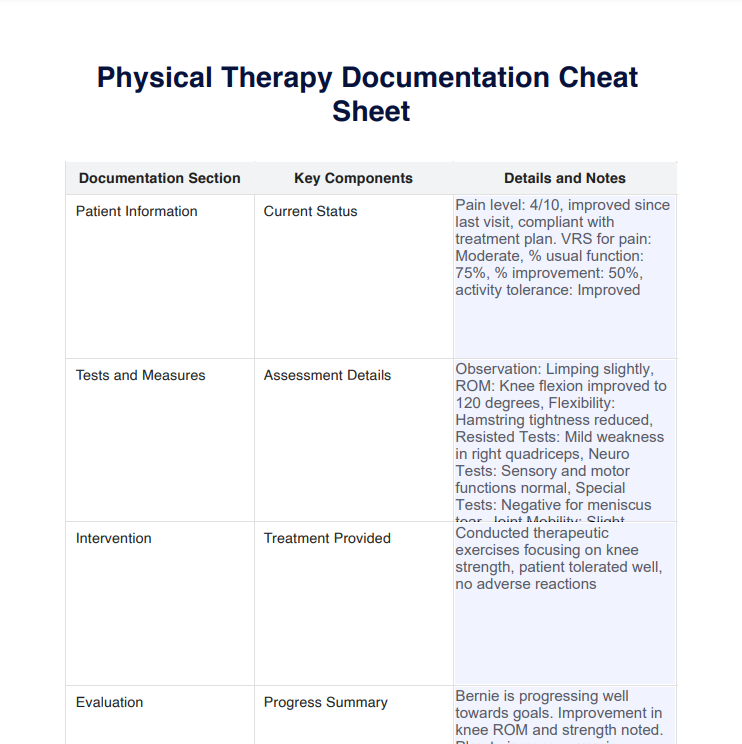 Physical Therapy Documentation Cheat Sheet Example Free PDF Download Physical Therapy Documentation Cheat Sheet Example Free PDF Download