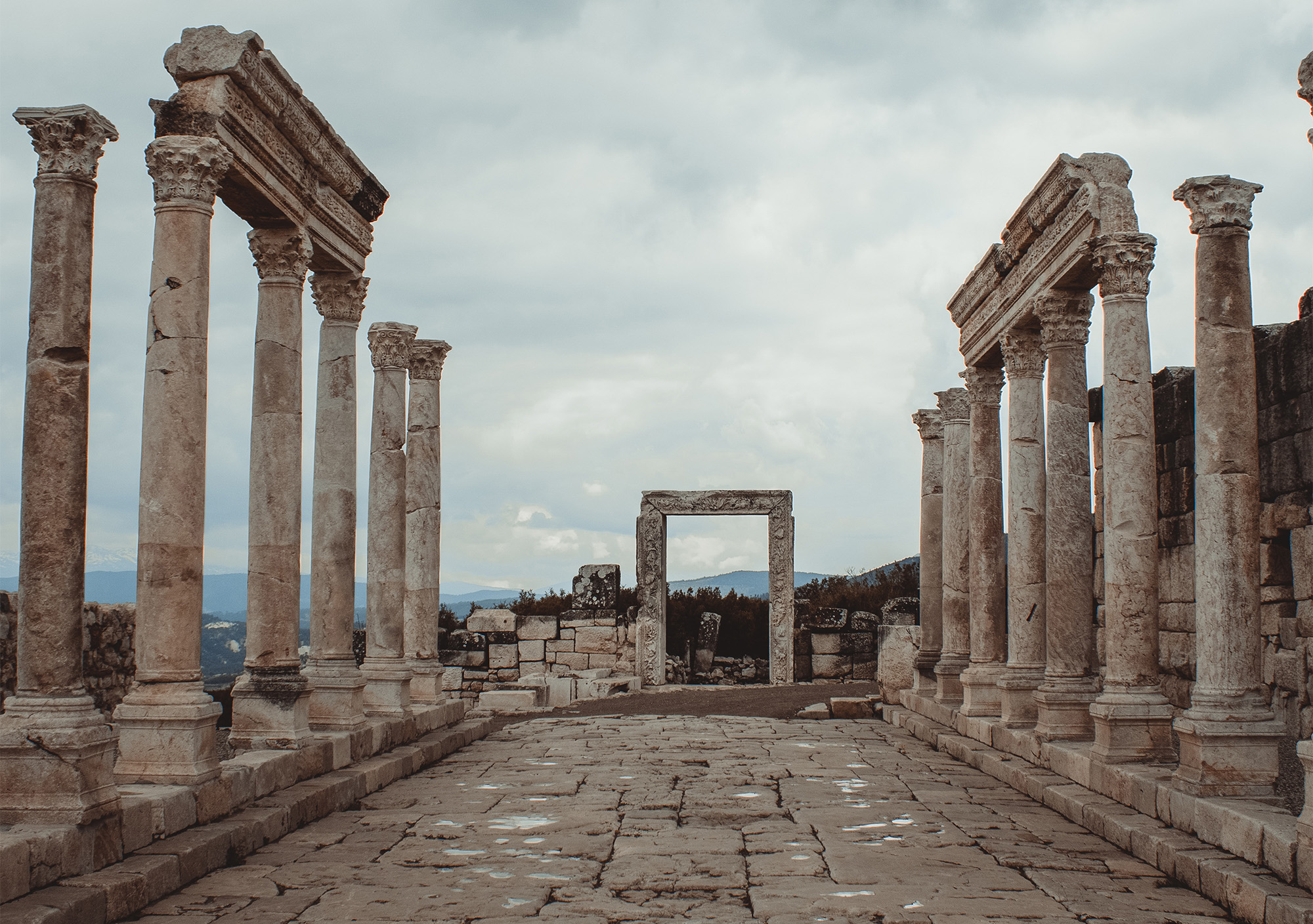 Helio Insights | Different Types of Captive Insurance Companies