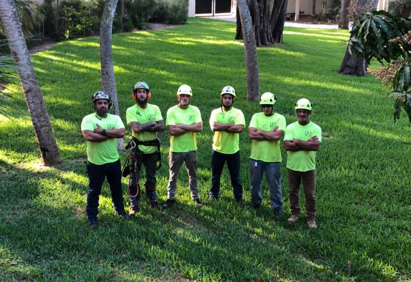 About Affordable Tree Service Sarasota, FL | Trusted Tree Care Experts