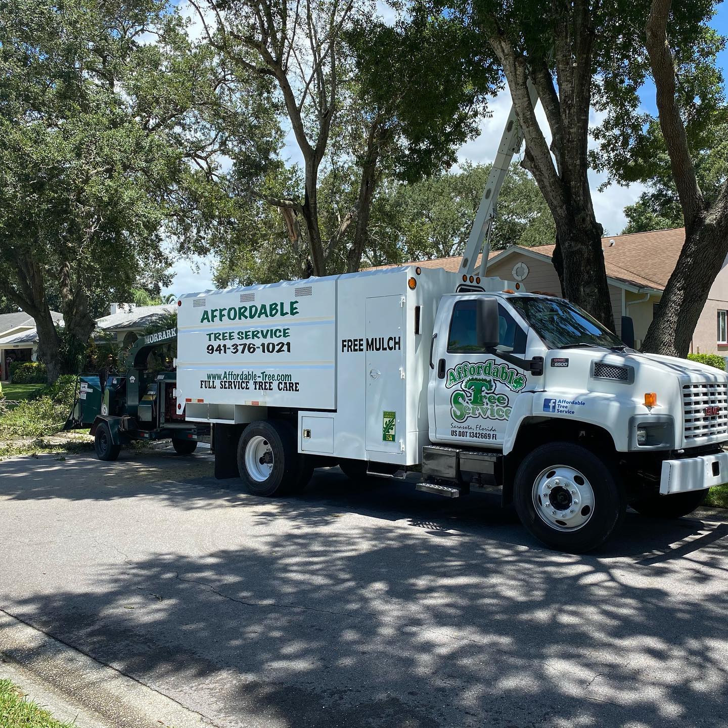 Affordable Tree Service Sarasota, FL | Expert Tree Removal & Trimming