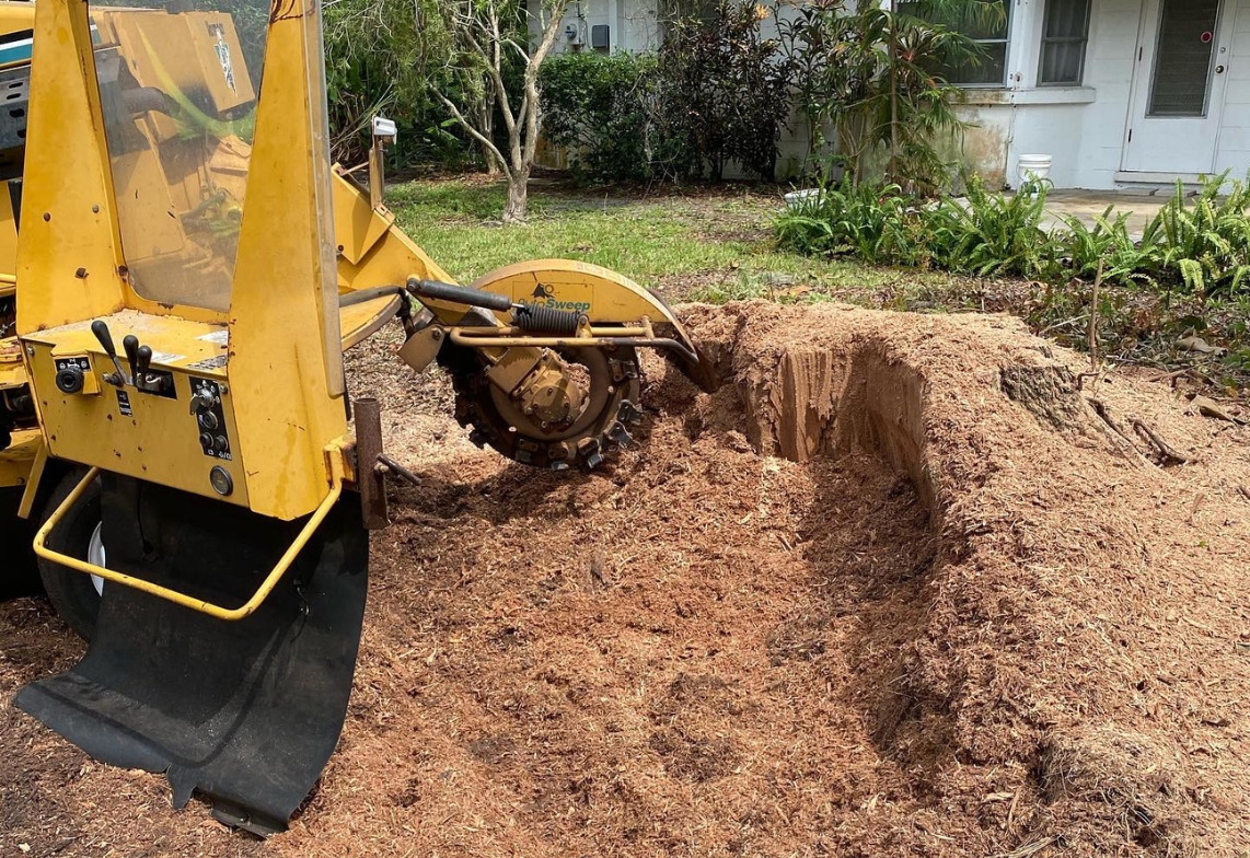 Tree Services in Sarasota, FL | Affordable Tree Service | Venice ...