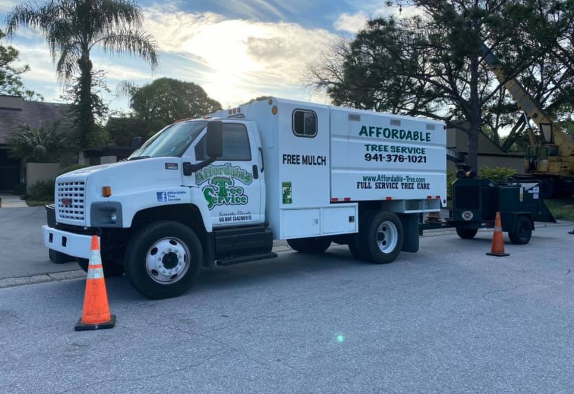 Affordable Tree Service Sarasota, FL | Expert Tree Removal & Trimming
