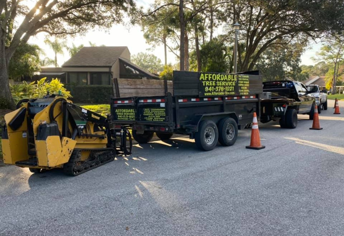 Tree Services in Sarasota, FL | Affordable Tree Service | Venice ...
