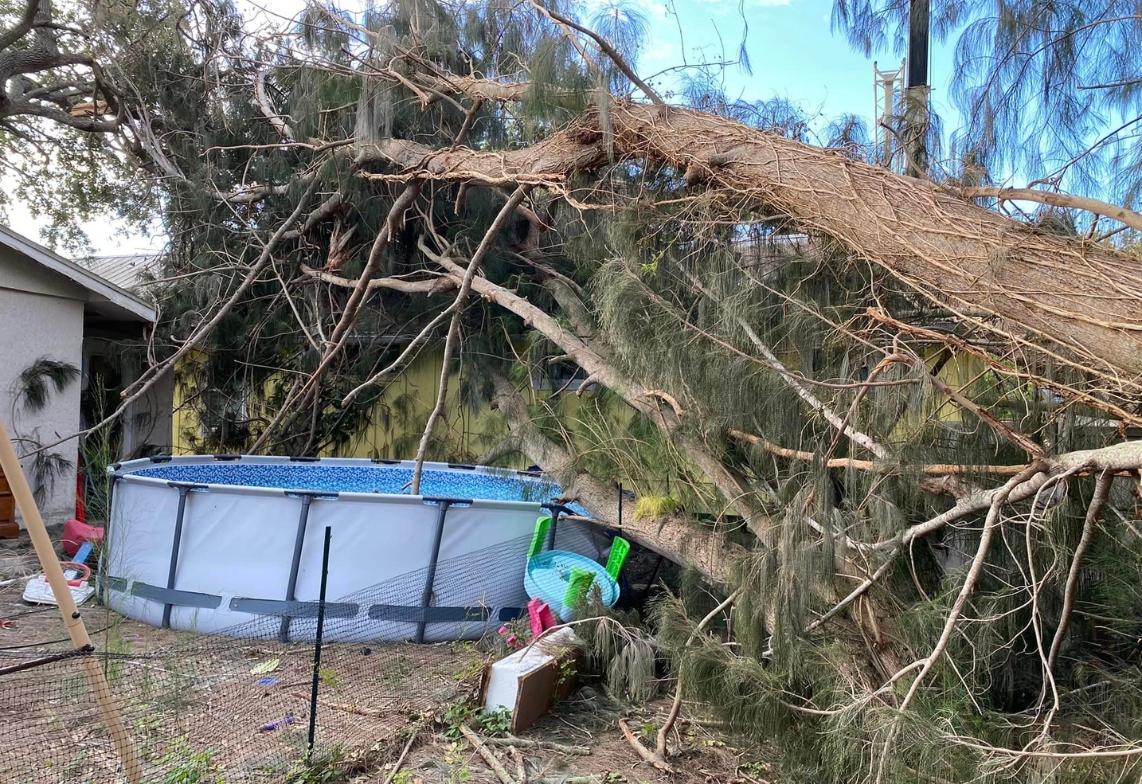 Tree Services in Sarasota, FL | Affordable Tree Service | Venice ...