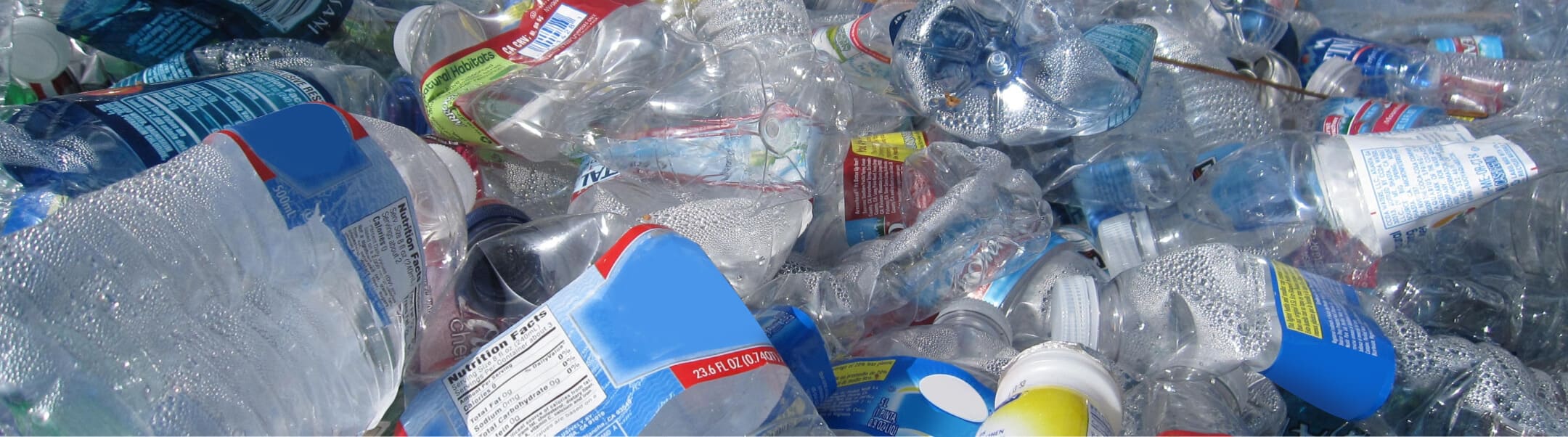 Comprehensive Recycling and Disposal Guide