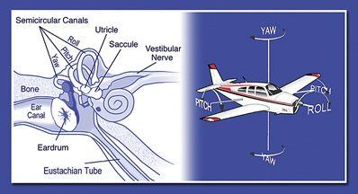 Spatial Disorientation - Go Flight Medicine