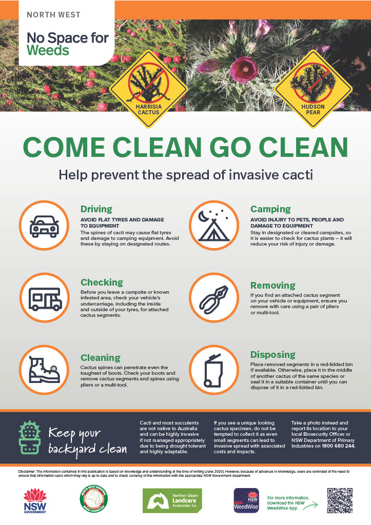 New resource to help stop the spread invasive cacti - Resources ...