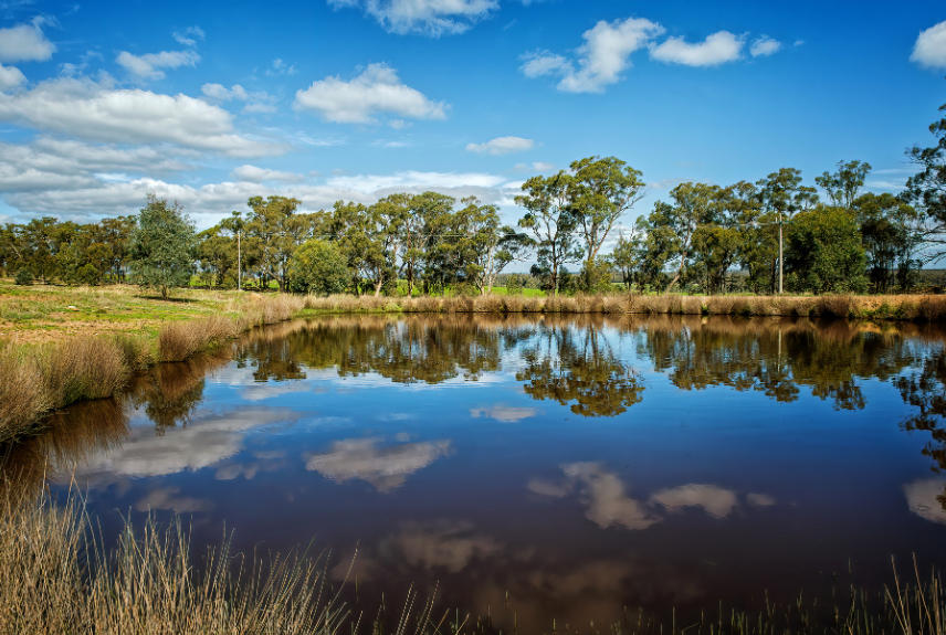 Enhancing Farm Dams - News | Northern Slopes Landcare Association