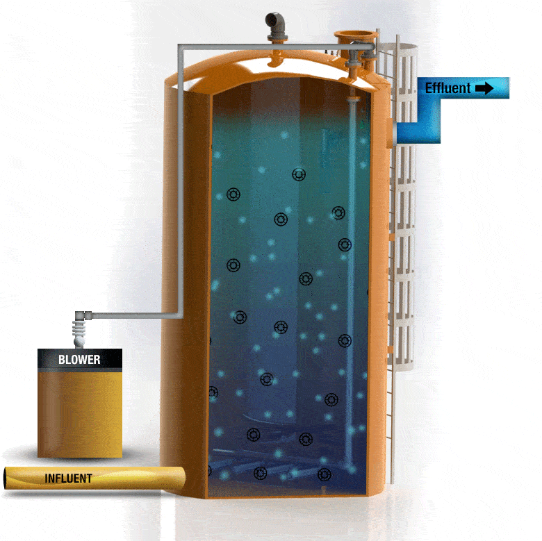 How can wastewater be treated?