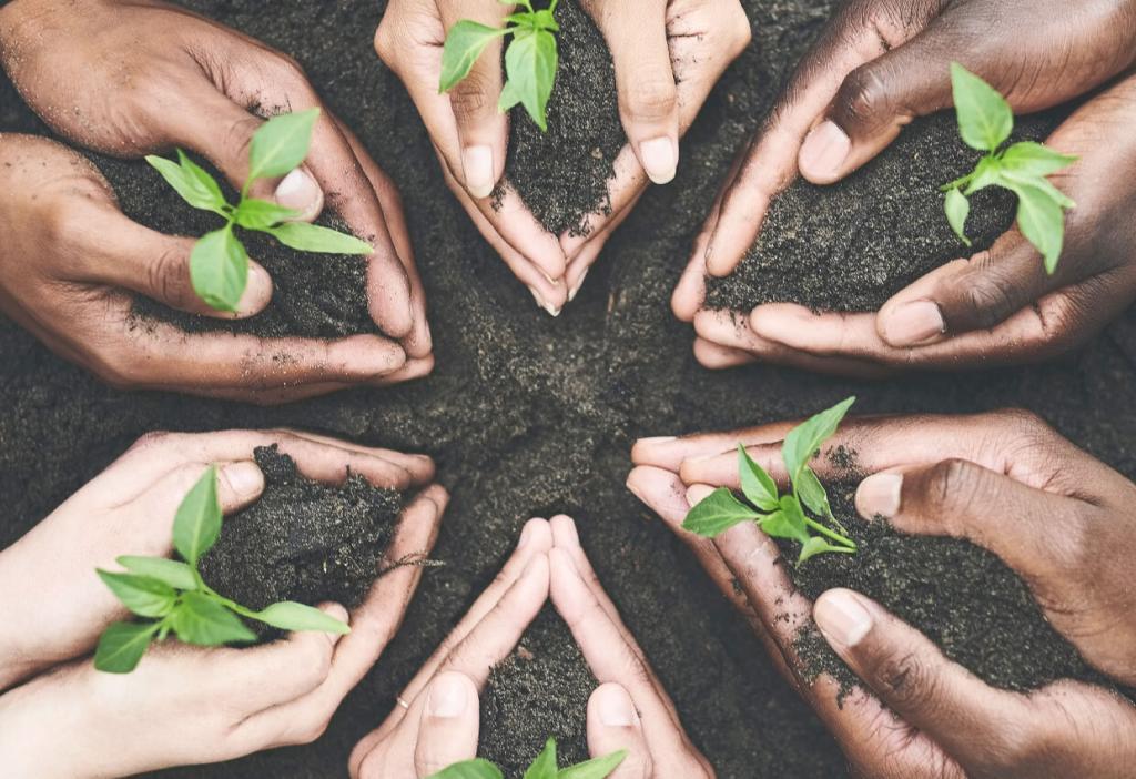 Biocode – Insights into sales work – Sellai