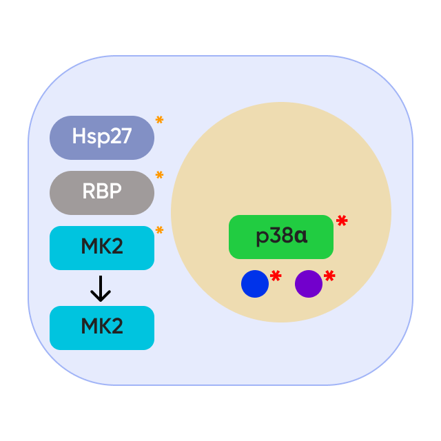 Differentiation | GEn1E Lifesciences