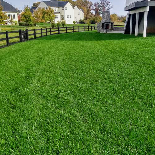 Simply Turf Kid & Pet Safe Lawn Care for NoVA