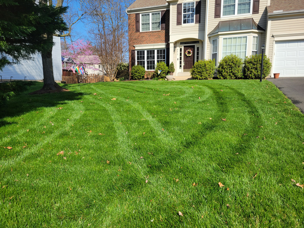 Simply Turf Kid & Pet Safe Lawn Care for NoVA