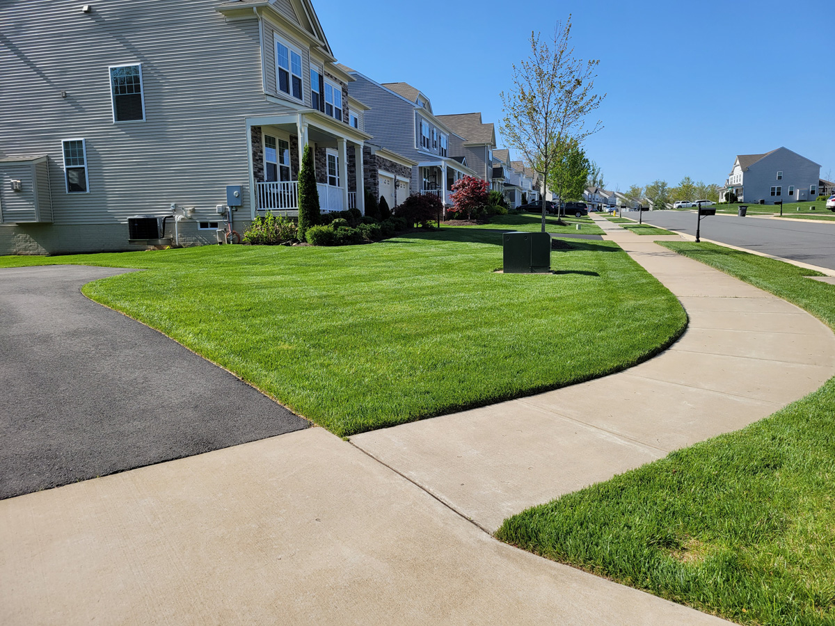 Simply Turf Kid & Pet Safe Lawn Care for NoVA