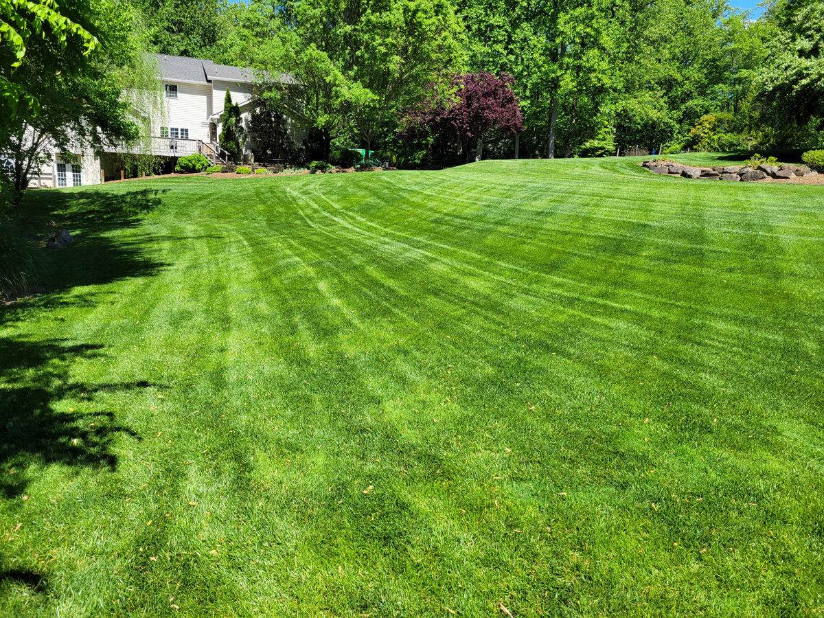 Simply Turf Kid & Pet Safe Lawn Care for NoVA