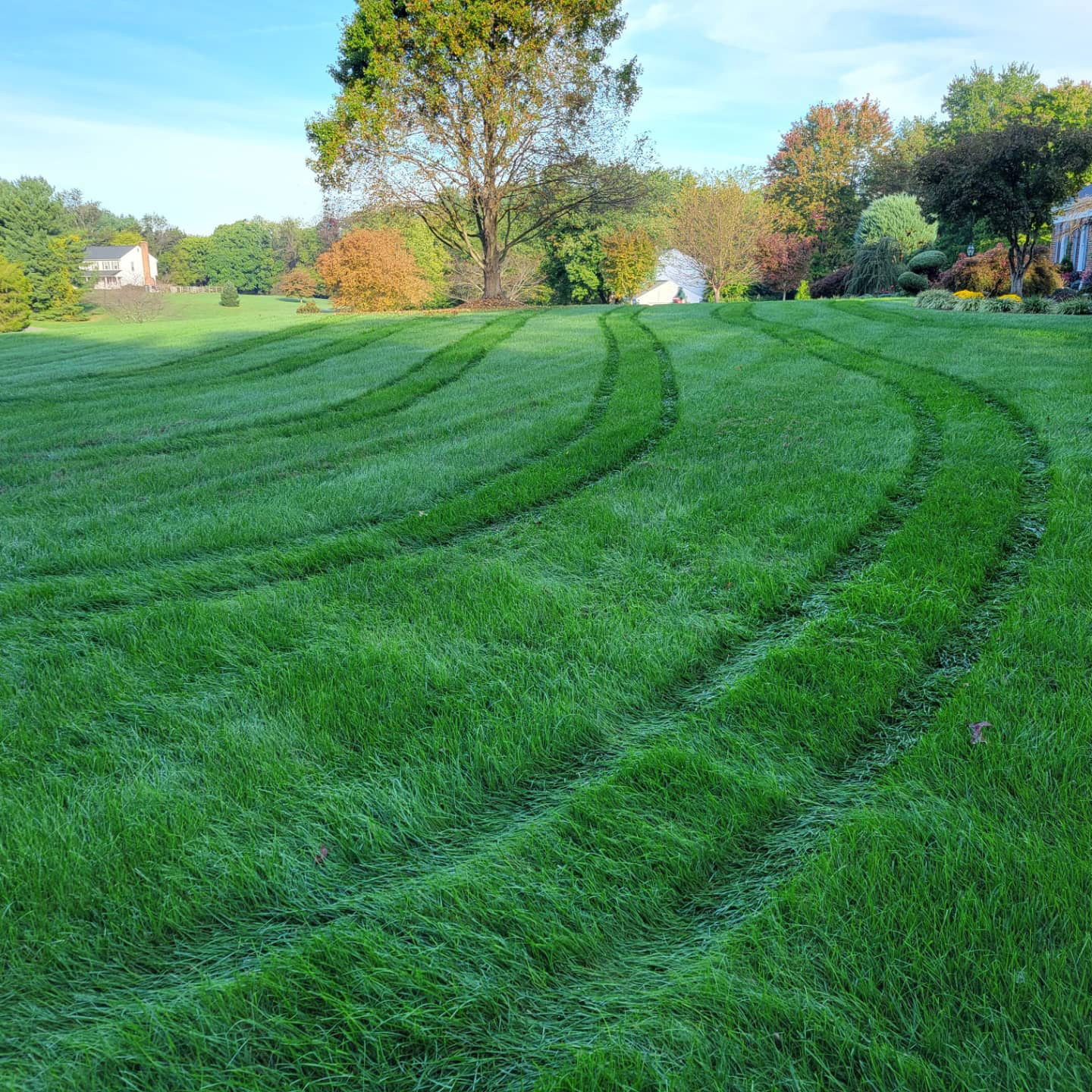 Simply Turf Kid & Pet Safe Lawn Care for NoVA