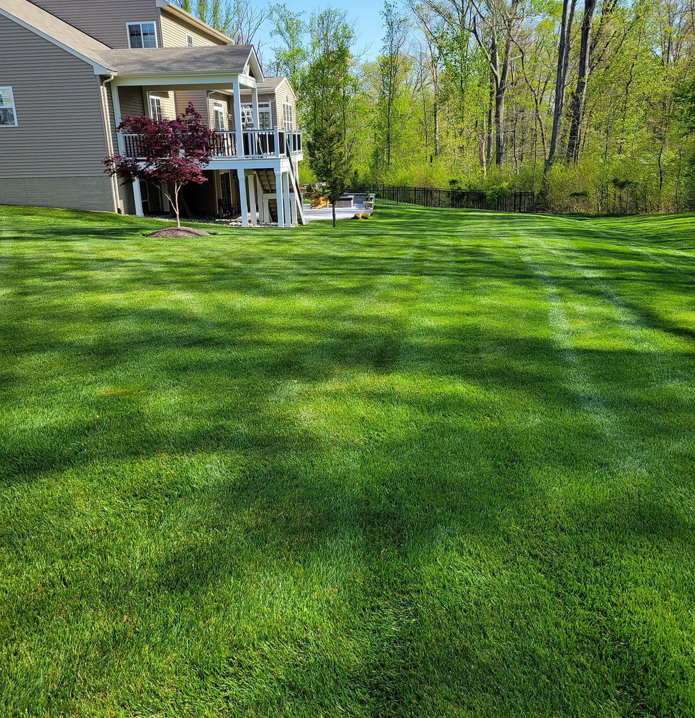 Simply Turf Kid & Pet Safe Lawn Care for NoVA