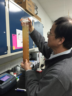 Services & Solutions