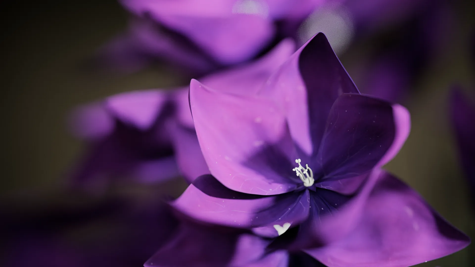 One Floral | Partners