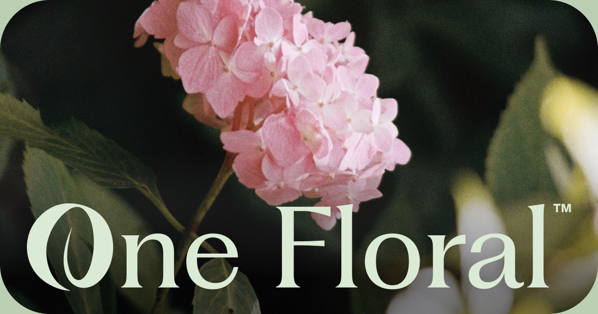 One Floral | Contact