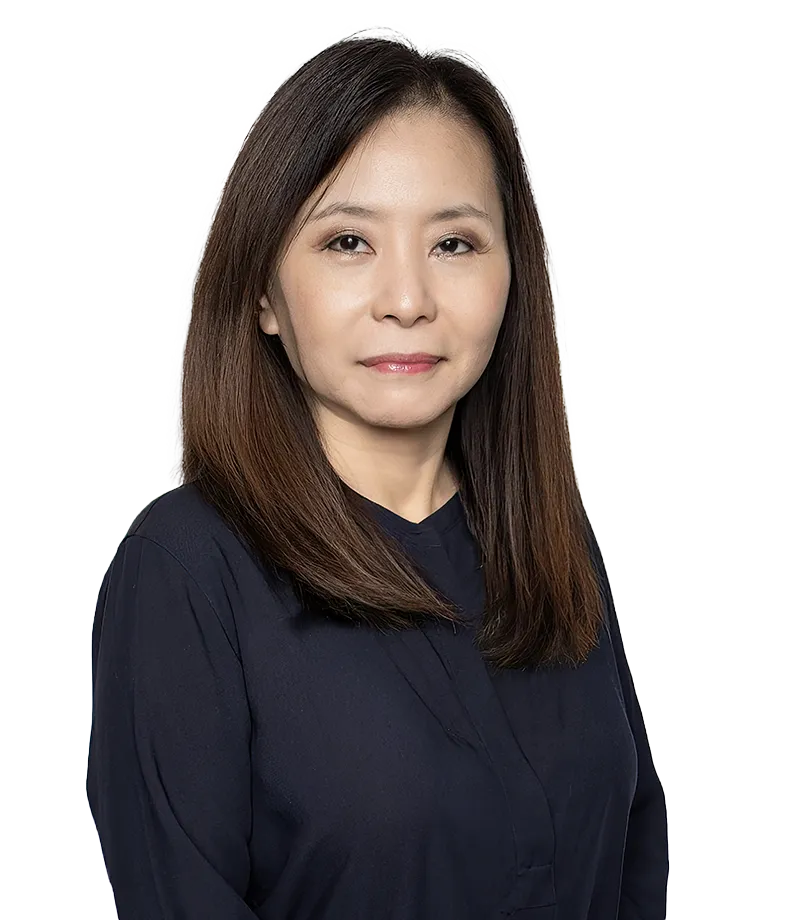 About us | Translink Capital - Institutional connections to Asia's economic powerhouses.