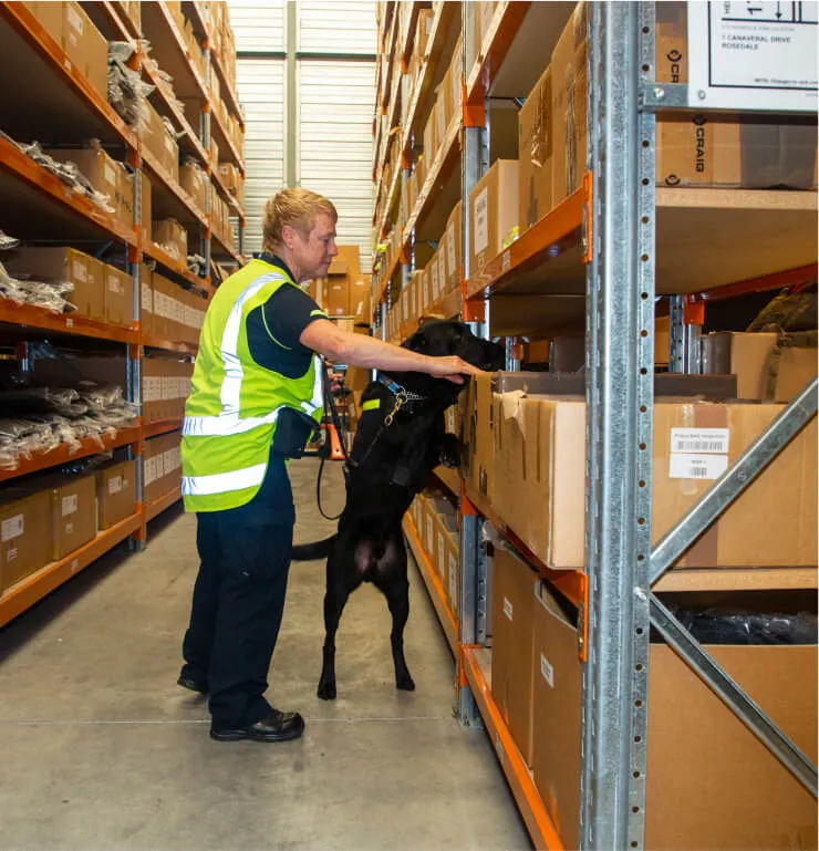 Drug Testing & Detection Services | NZ Detector Dogs
