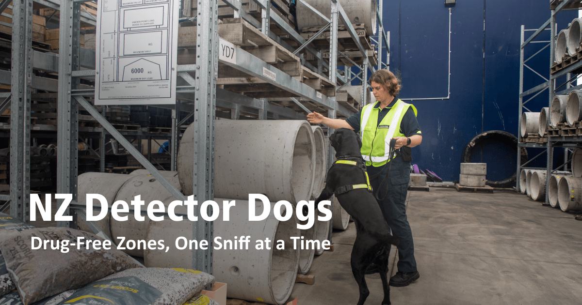 Contact Us - Get In Touch Today | NZ Detector Dogs