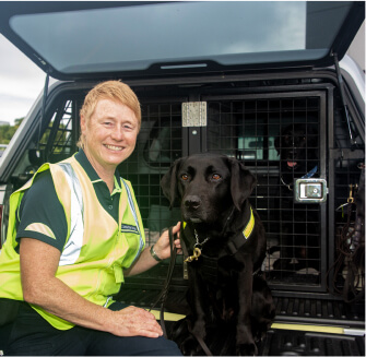 About Us - Learn About Our Team | NZ Detector Dogs