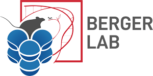 A multidisciplinary approach to peripheral nerve injury and trauma | BC ...