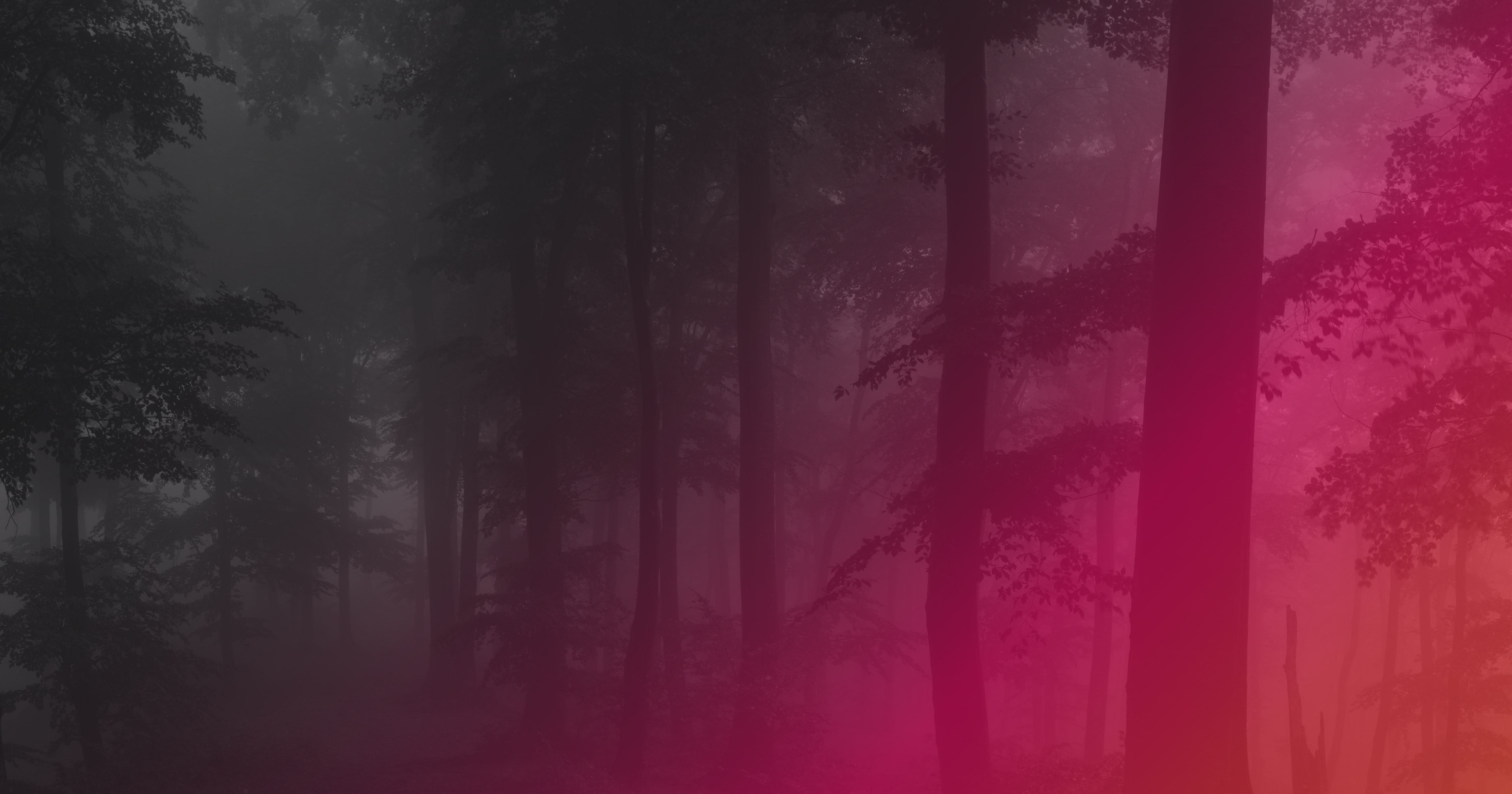 Snakes on a Domain: An Analysis of a Python Malware Loader