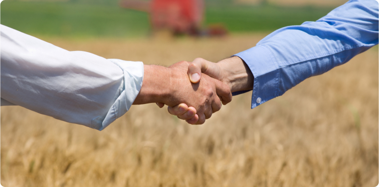 Services | The Land Group