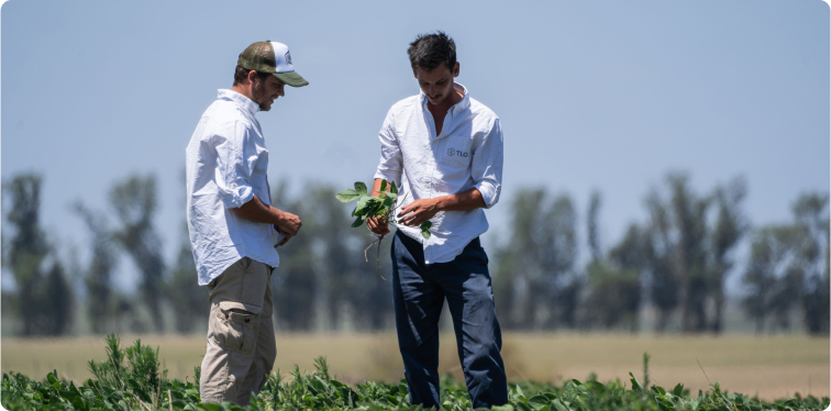 Services | The Land Group