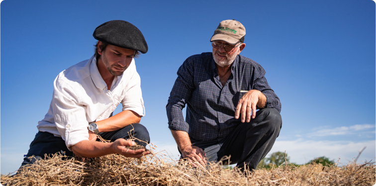 Services | The Land Group