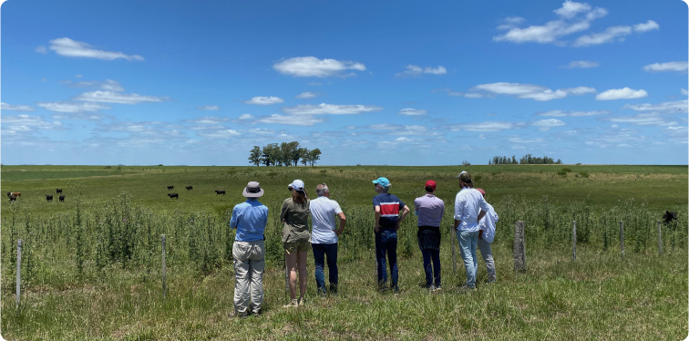 Services | The Land Group