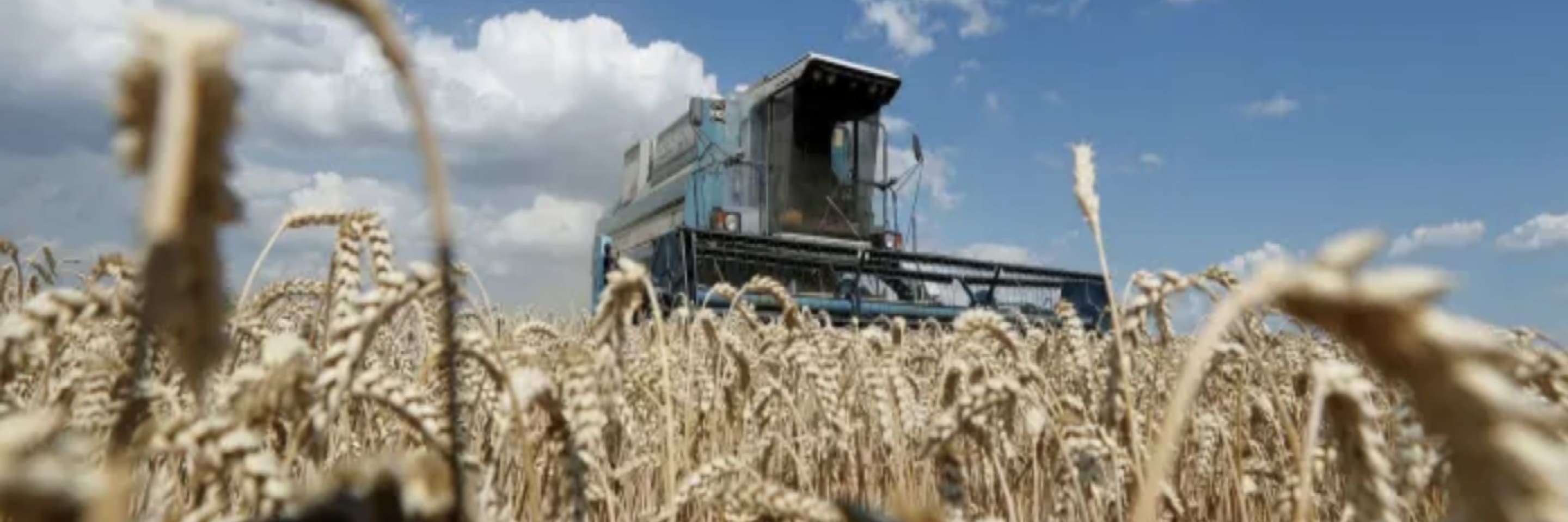 Food crisis looms as Ukrainian wheat shipments grind to halt | The Land ...