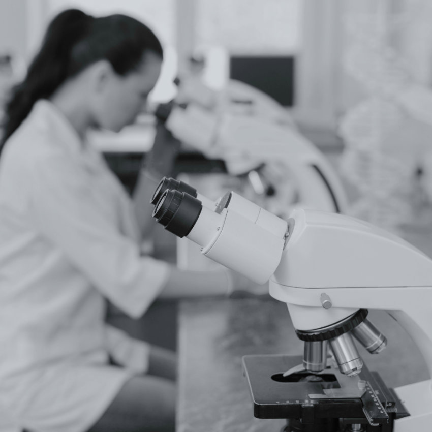 PrimeAI | AI Engines to Accelerate Business Insights and Results