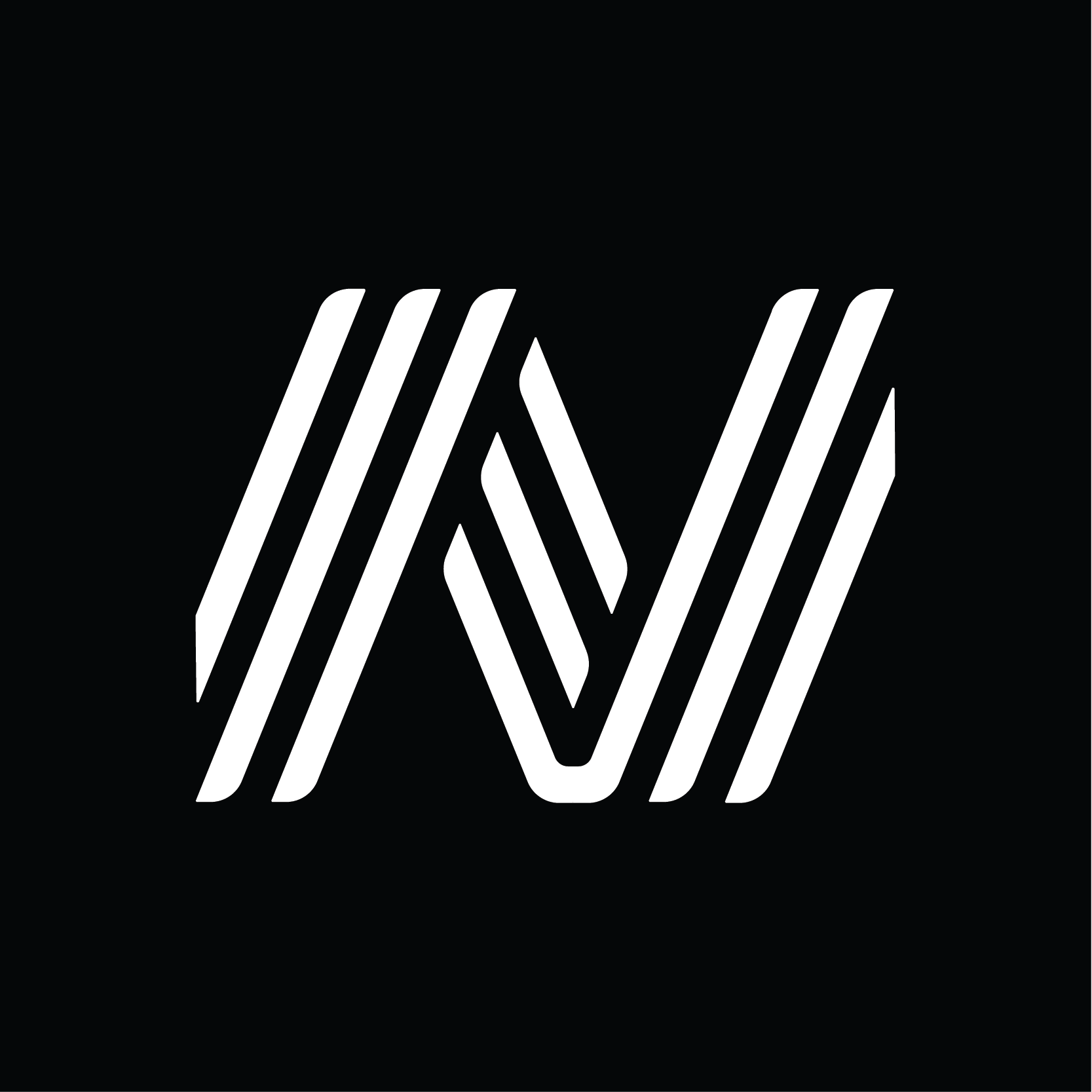 Download Brand Assets from Navozyme™