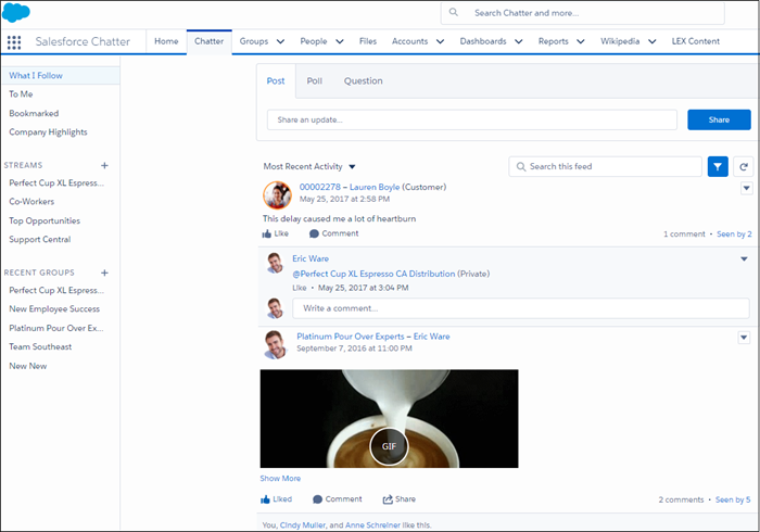 Salesforce Chatter: An Evaluation of Collaboration Components