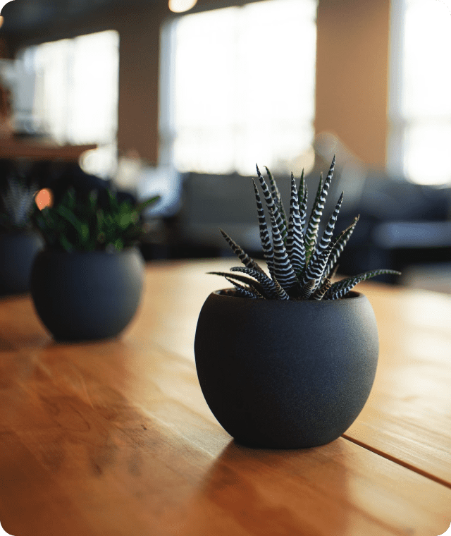 About Us | Auxo Solutions