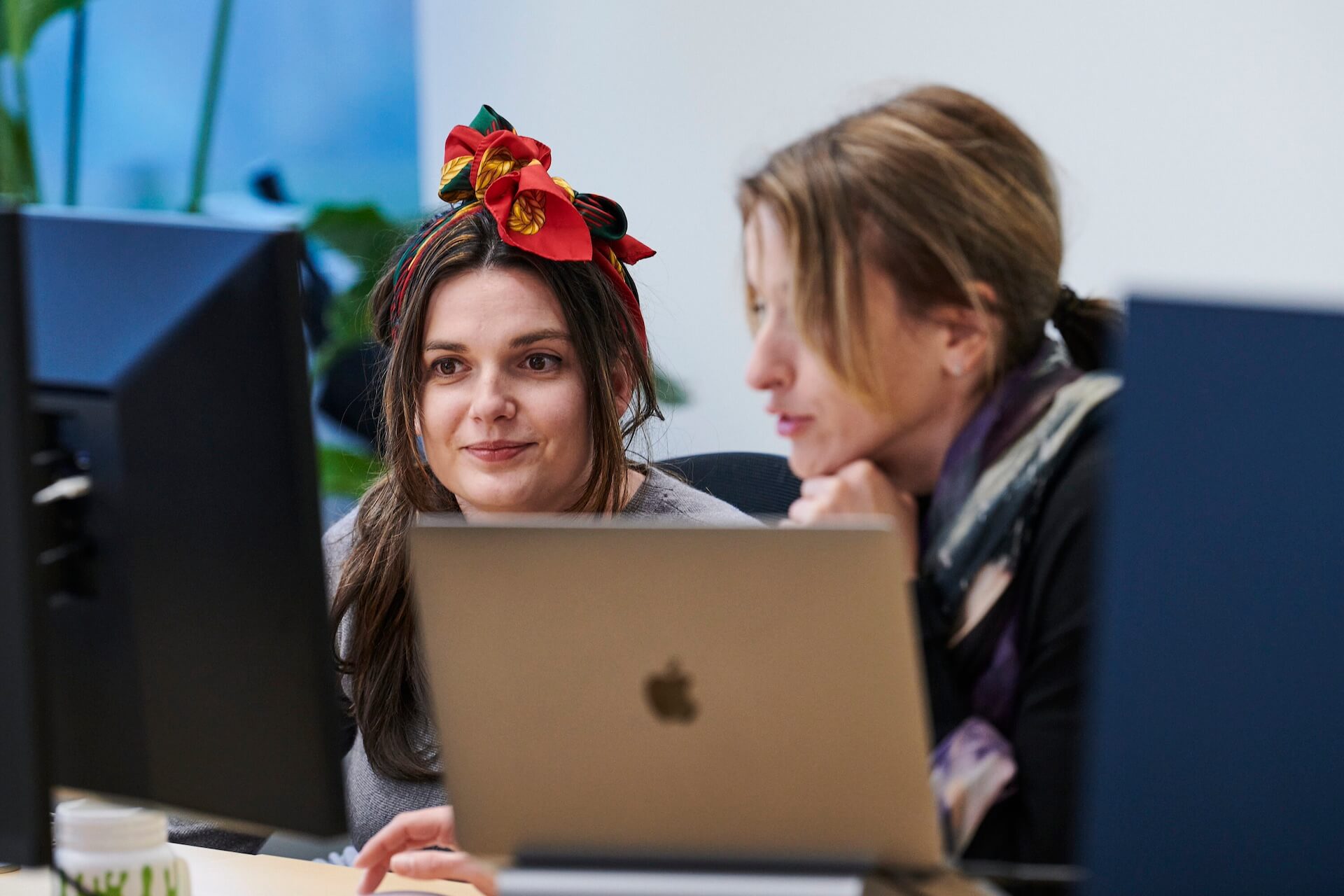 About Our Company Alohi in Geneva - Alohi