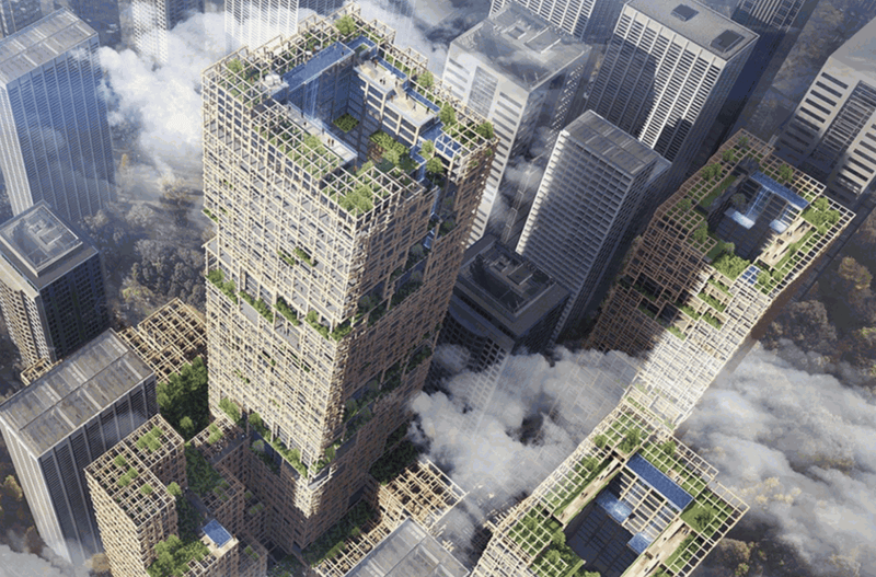 Strong by Form | Climate Insiders