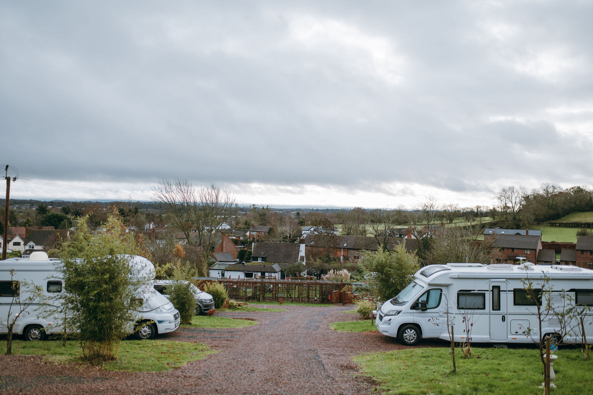 The Old Bush Specials