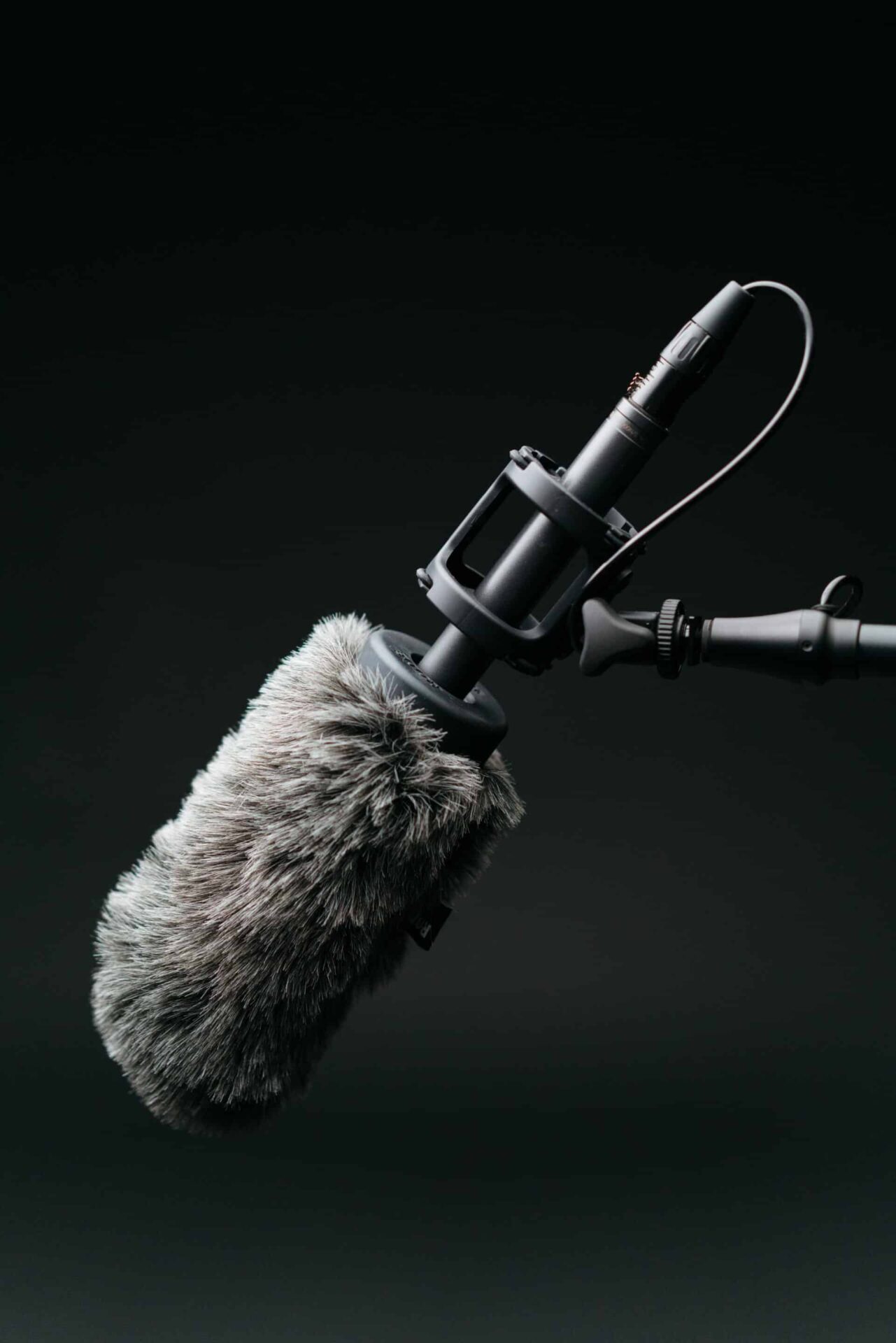 What Are The 5 Major Problems With Shotgun Microphones? | Blog | Klover ...