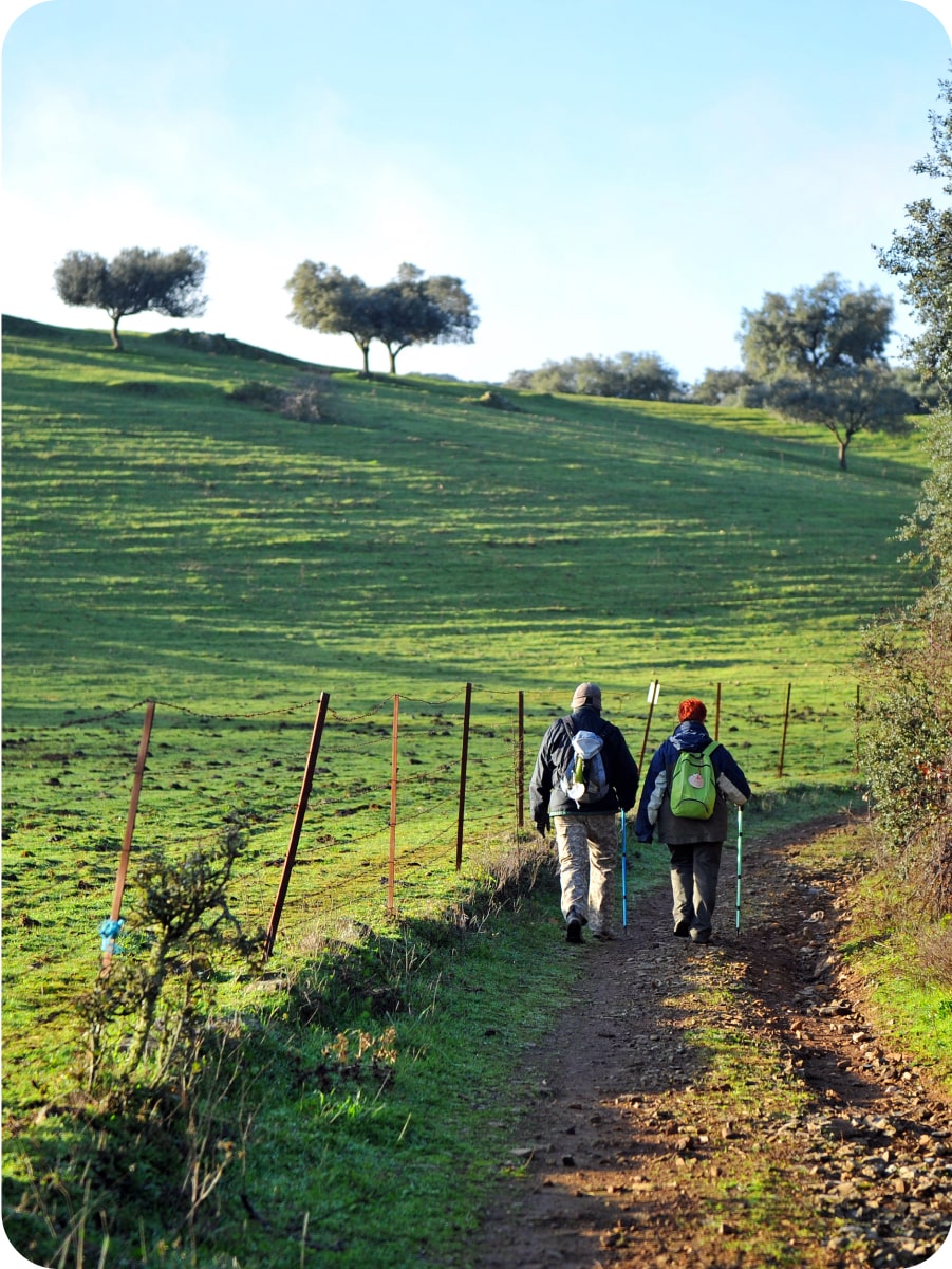 British Pilgrimage Trust - Walking is for your body, pilgrimage for ...