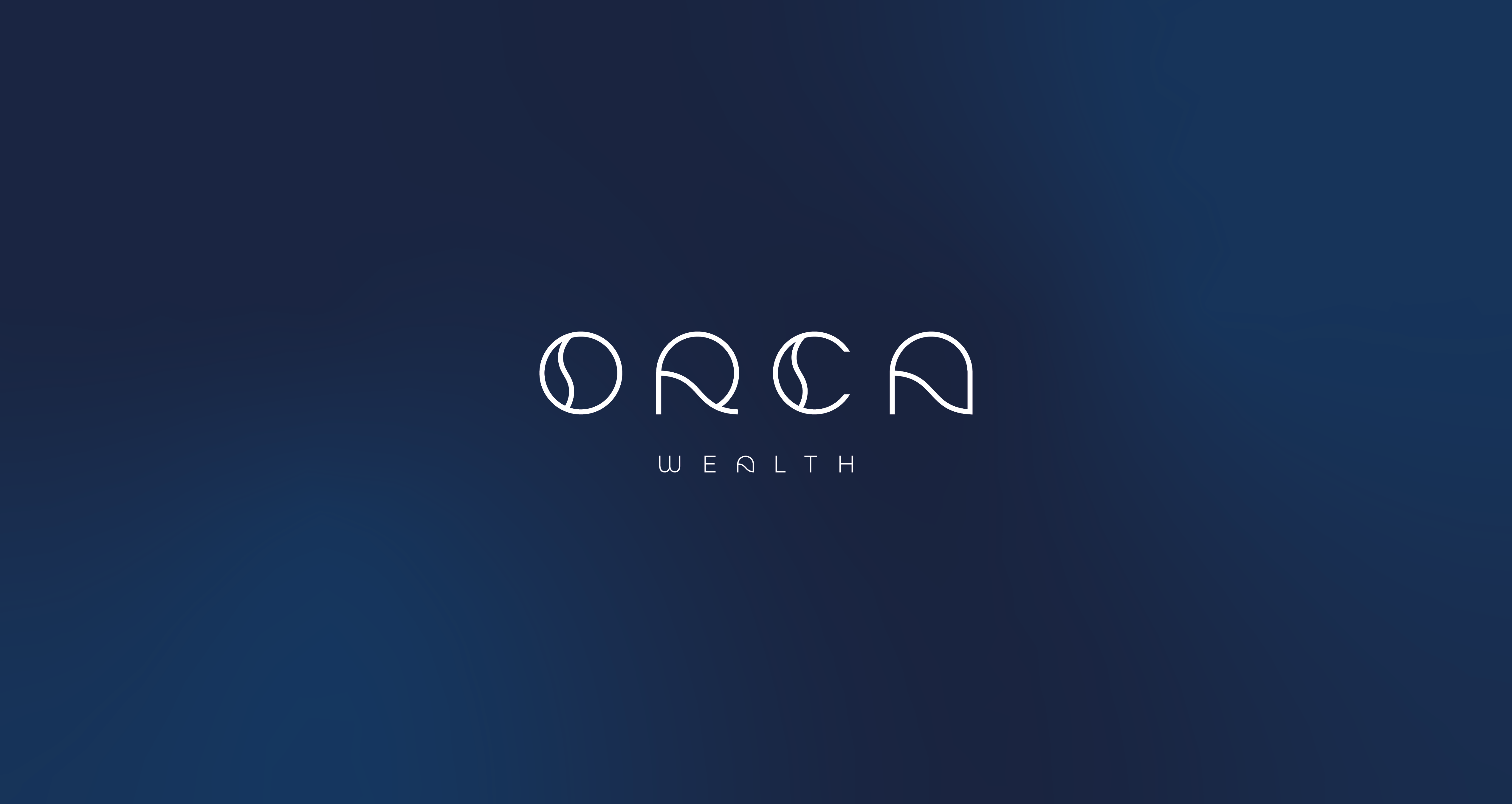 Home | Professional Financial Planners at Orca Wealth