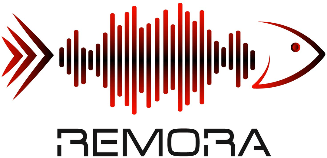 Remora