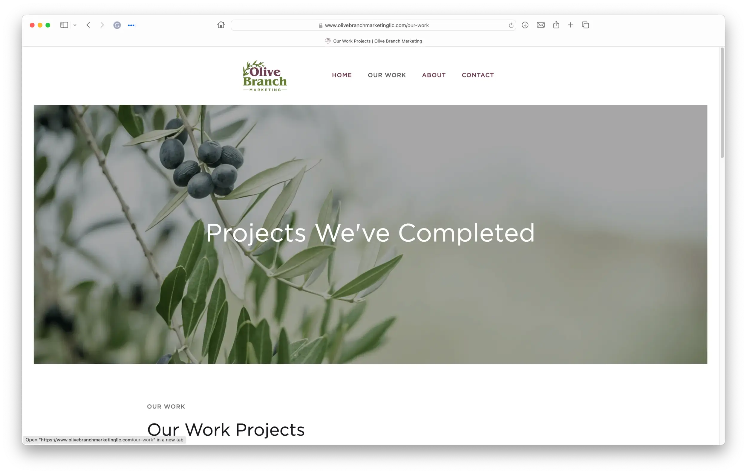 Our Work Projects | Olive Branch Marketing
