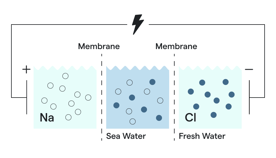 MediSun | Providing Blue Energy Technology For The World