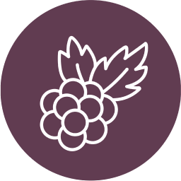 Blackberry Market | Cafe, Bakery, Catering, & Coffeehouse