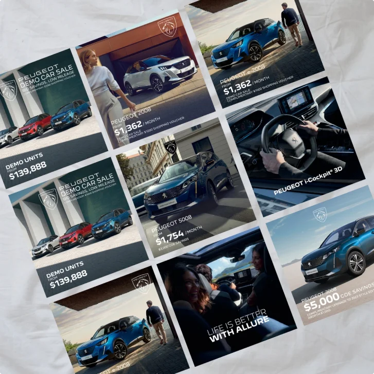 CodeVidia: Unlimited White-Label Design & Development Services